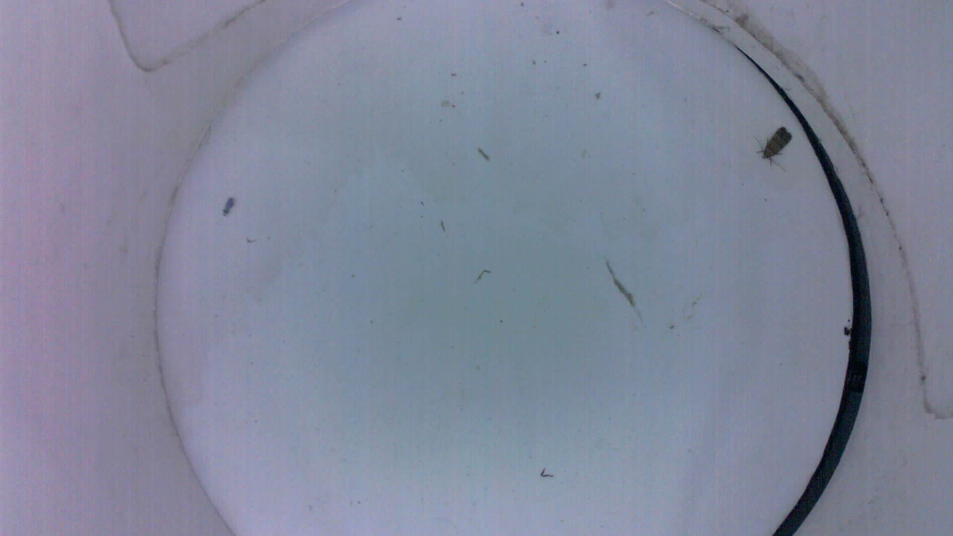 funnel trap original Object Detection Dataset by smart trap TTSF