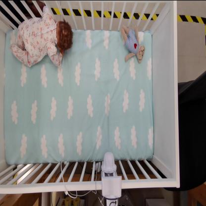 How to Use the Bambino-Posture-Detection-Label Object Detection API