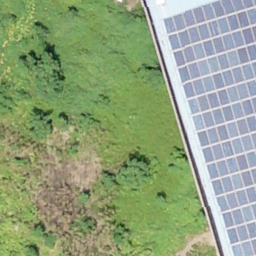 How to Use the RGB Projects Object Detection API