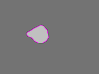 strawberry_coco Instance Segmentation Dataset by strawberry