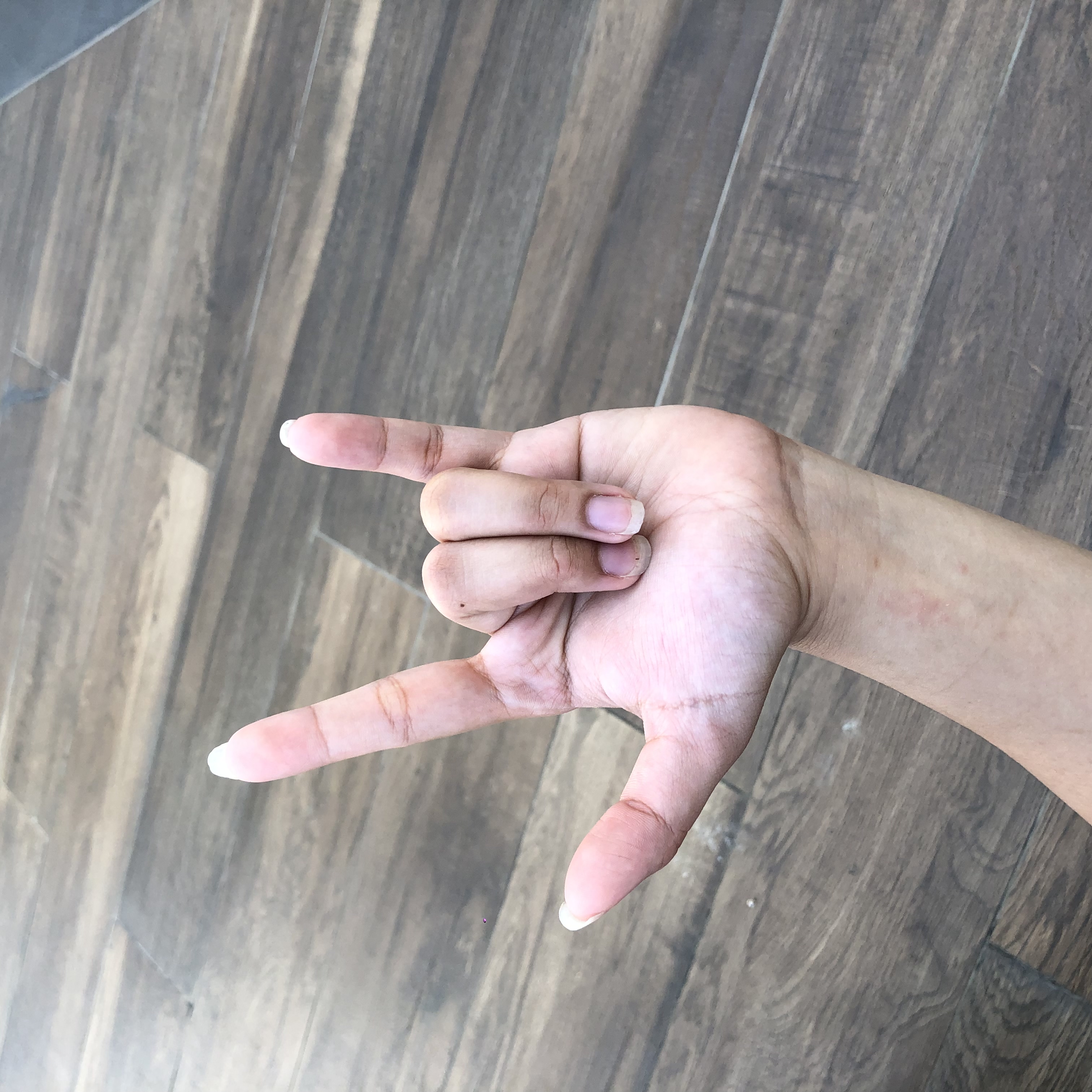 AidEm Final - Roboflow Universe