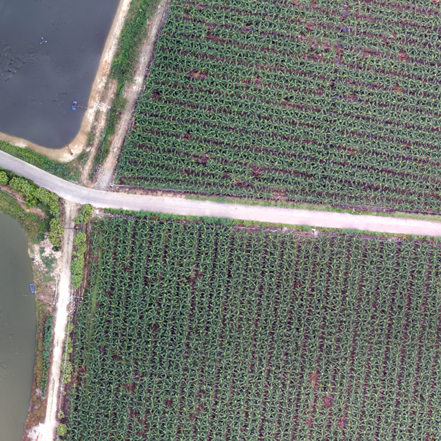 T1 Instance Segmentation Dataset (v1, 2023-11-19 12:08am) by cropland