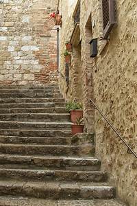 Vincent Matthew Umali - Roboflow Universe