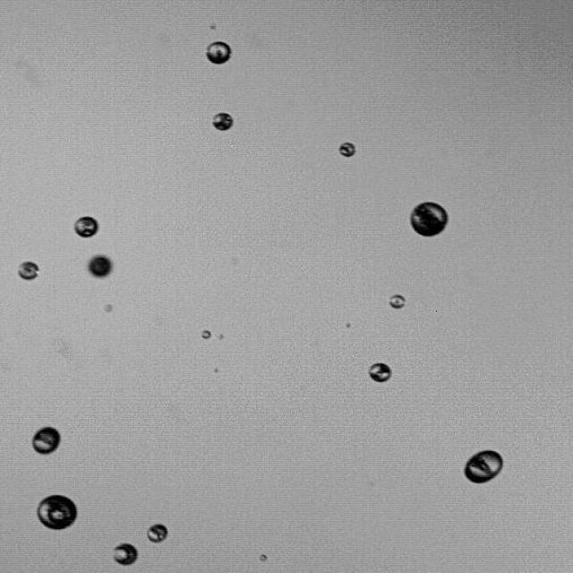 Droplet Detection Hr 2 Lr Object Detection Dataset By Object Detection