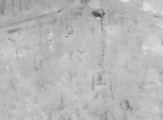 matthew van den berg (matthew-van-den-berg-te46k) - Roboflow Universe