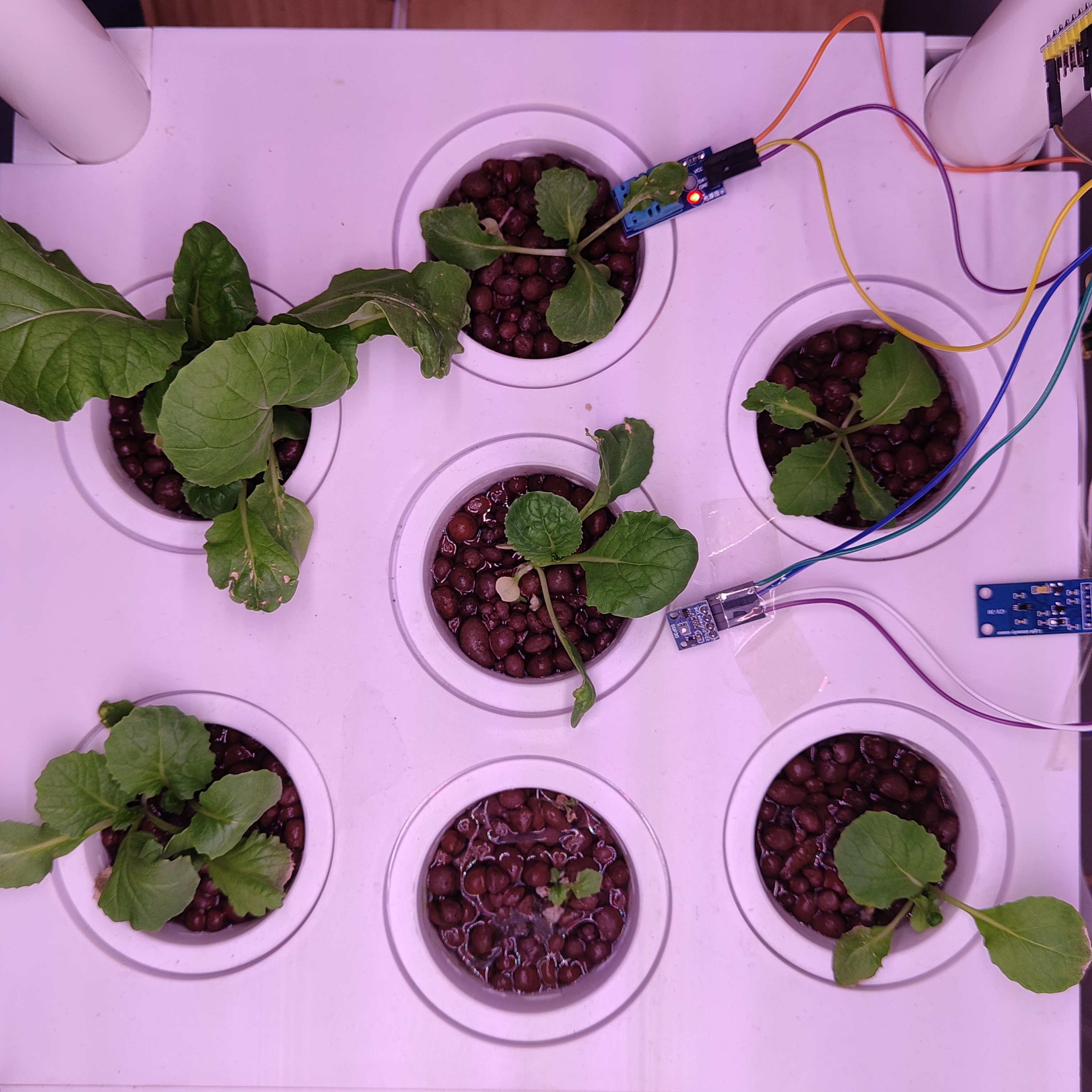 plants detec Object Detection Dataset and Pre-Trained Model by NTU