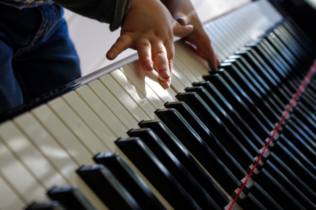 Harunur Object Detection Dataset by new-workspace-1n8ka