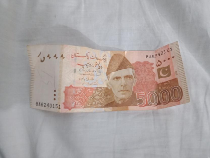 How to Use the CASH CURRENCY DETECTION Object Detection API