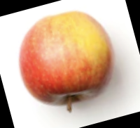 Fruit-Ripeness Classification Dataset and Pre-Trained Model by Yolov8