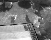 ASL-TID Object Detection Dataset by Aicha KHALFAOUI