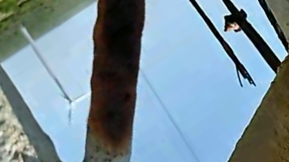 rust Object Detection Dataset and Pre-Trained Model by Jean