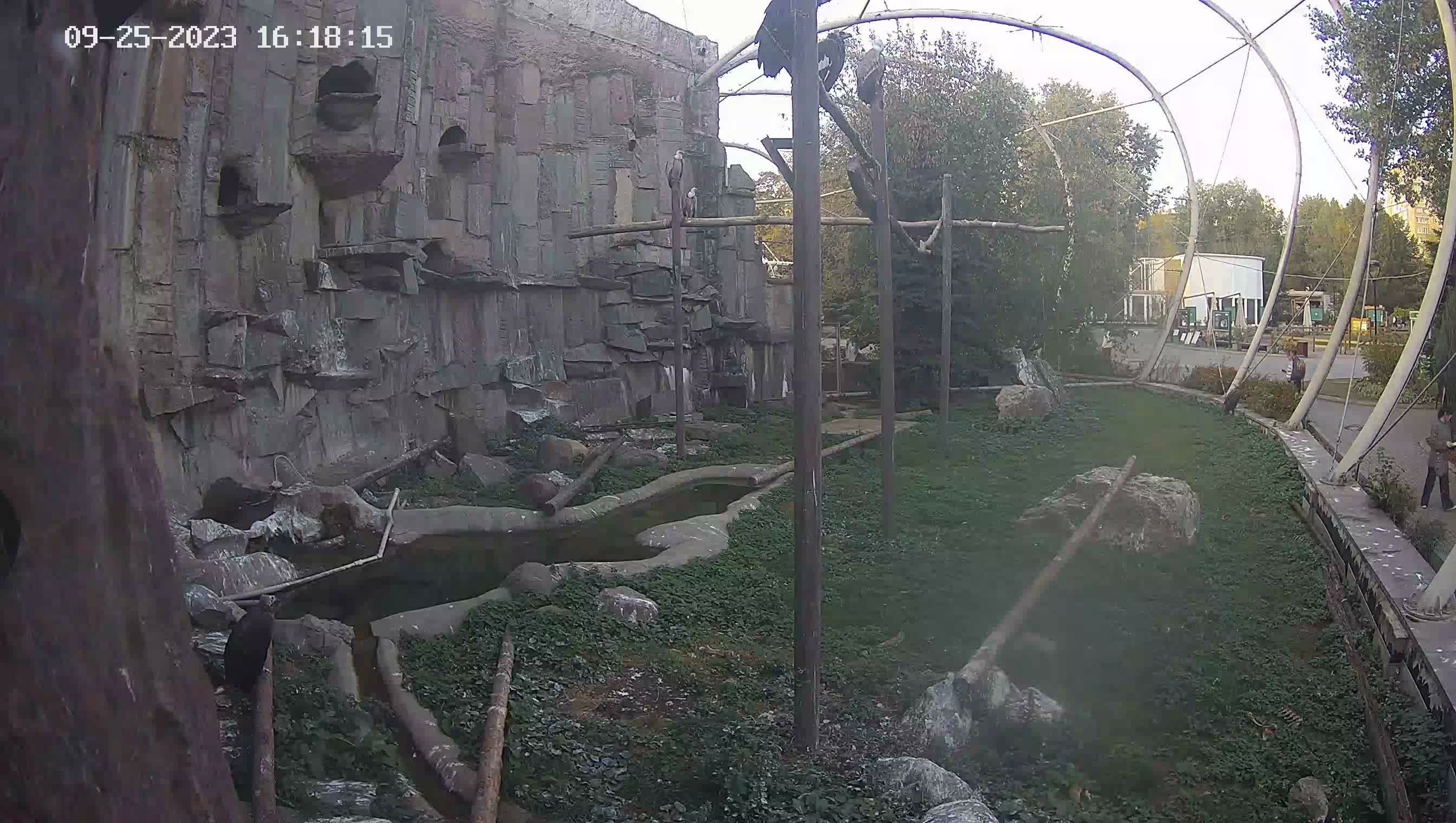 Eagles Object Detection Dataset By Eagles