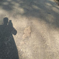 Pothole Detection Object Detection Dataset and Pre-Trained Model by Aegis