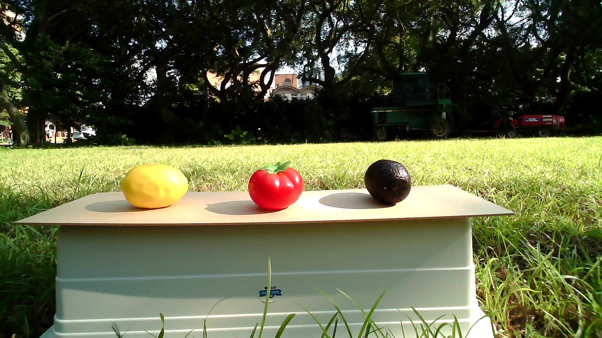 Video Object Detection Dataset By Fruit Detection