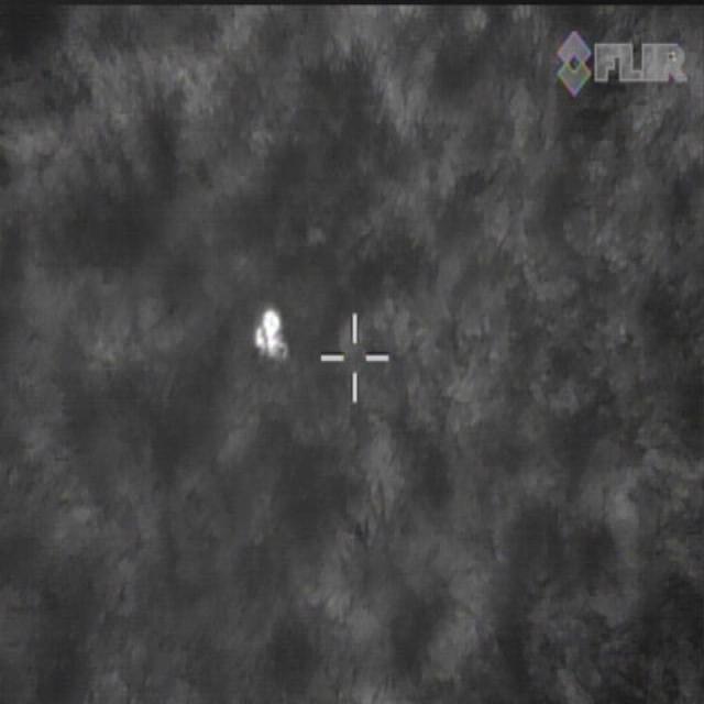 How to Use the thermal-bird-nests Object Detection API