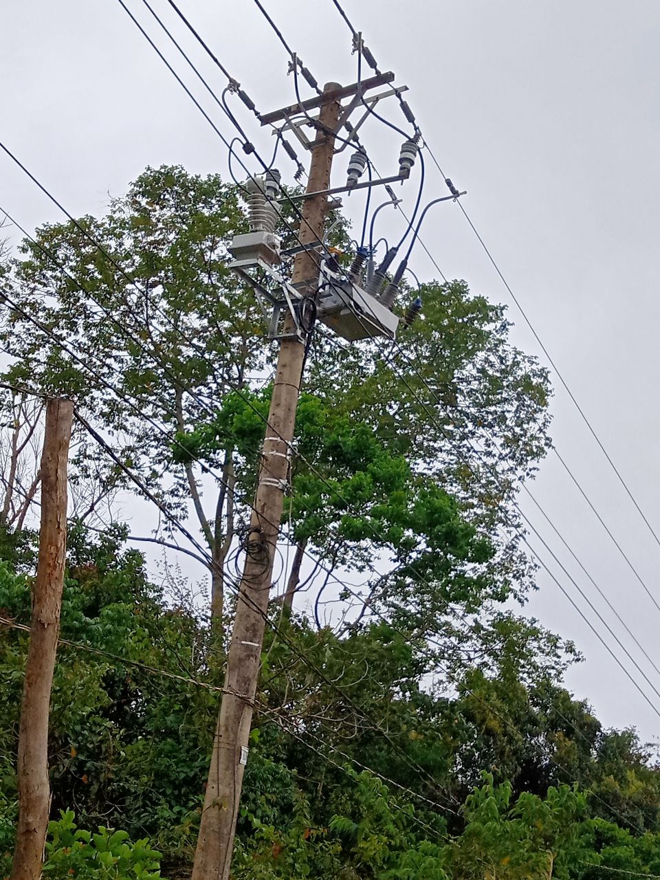 rec_tt Object Detection Dataset by KBang