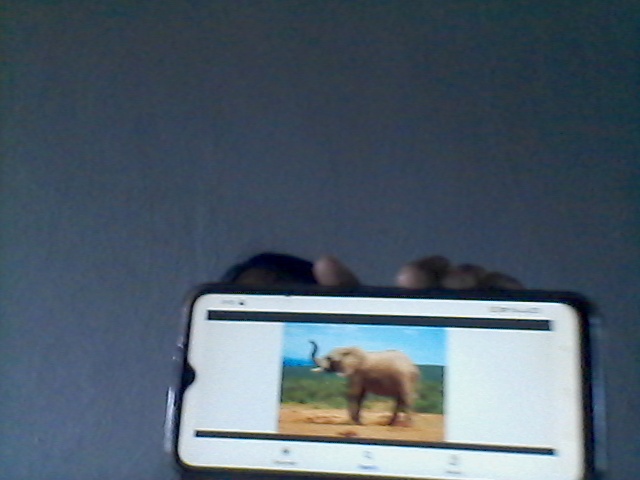 Yolov8 Custom Obj Detect Yt Object Detection Dataset V1 2023 12 13 9