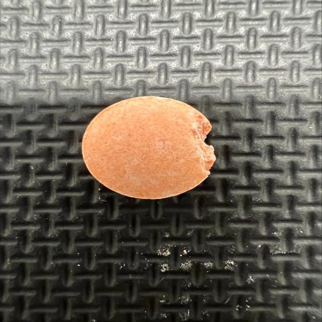 Pills Defect Detection Roboflow Universe