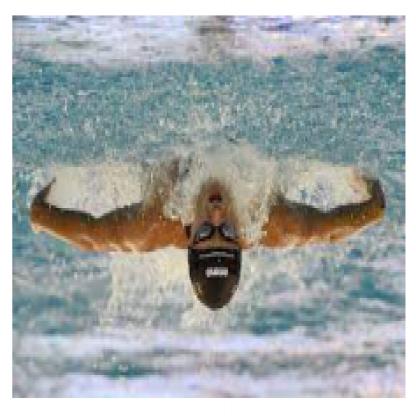 Drowning Detection Object Detection Dataset by Muhammad Ibrahim