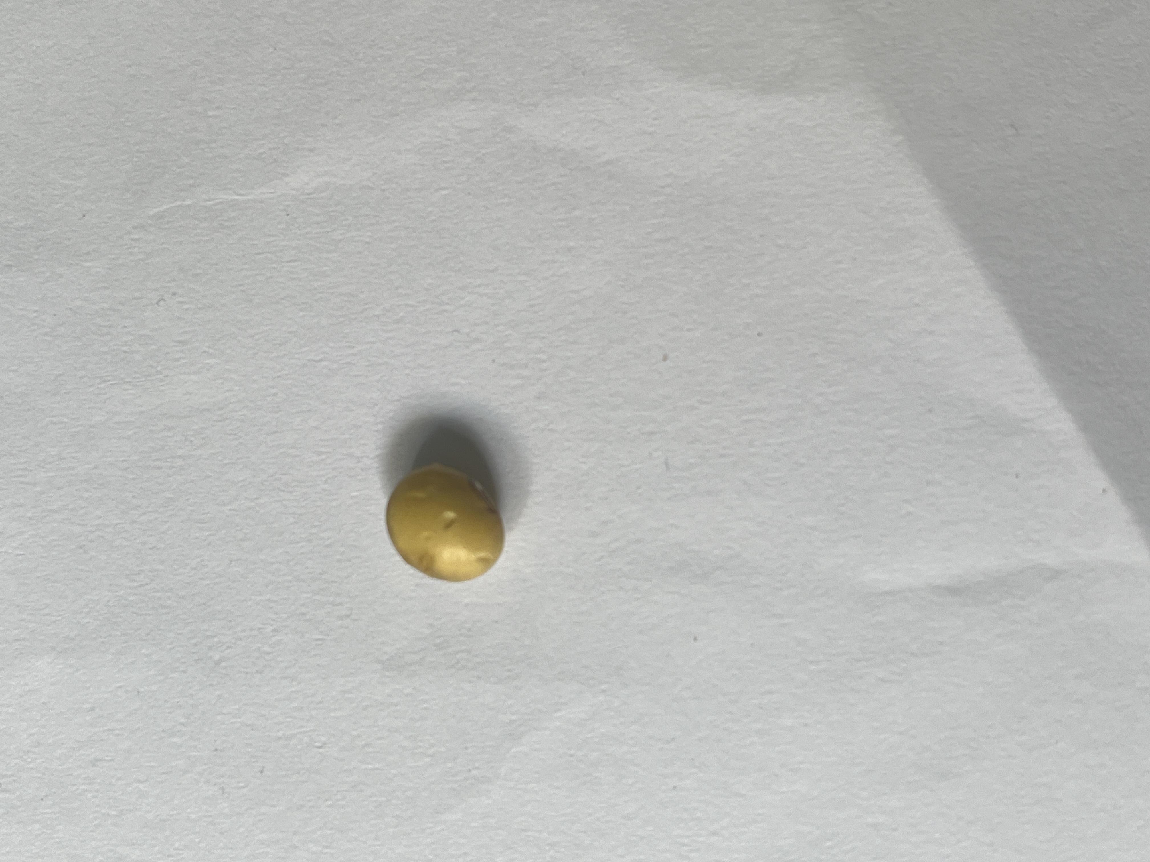 How to Use the 1 Object Detection API