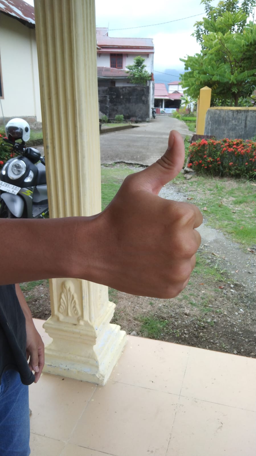 How to Use the Thumbs up & Thumbs down Object Detection API