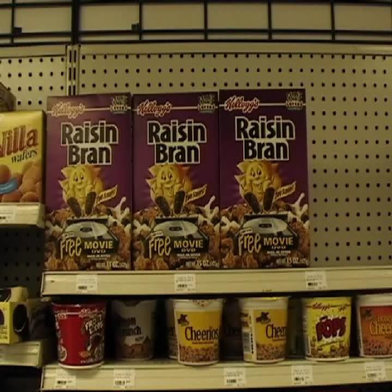 raf2 Instance Segmentation Dataset and Pre-Trained Model by onur