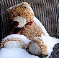 Wildlife detection YoloV5 Object Detection Dataset and Pre-Trained Model by AML