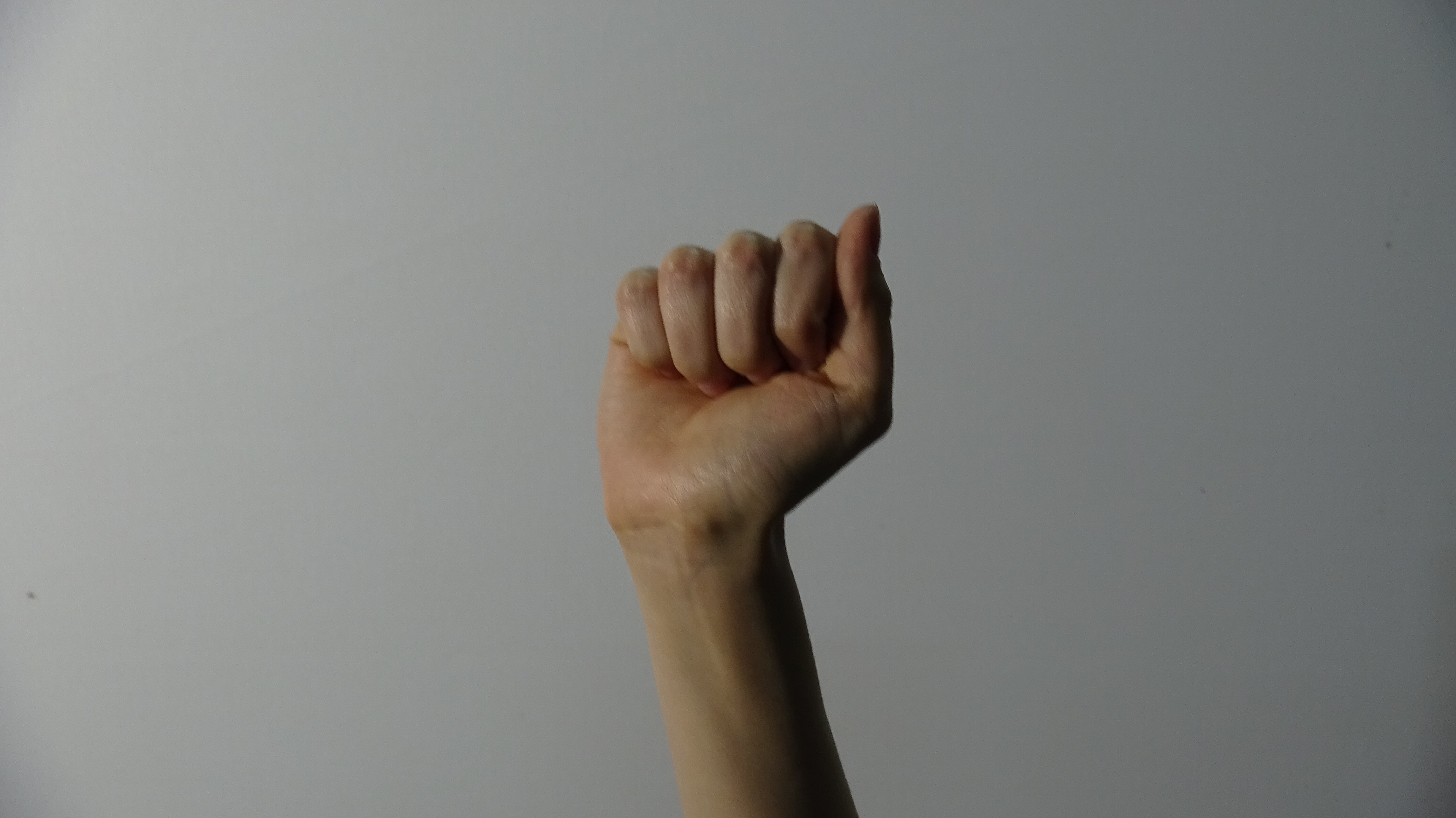 Signs Detection Object Detection Dataset By Utec