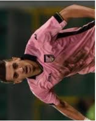 YOLOv8 customized Object Detection Dataset and Pre-Trained Model by PFE