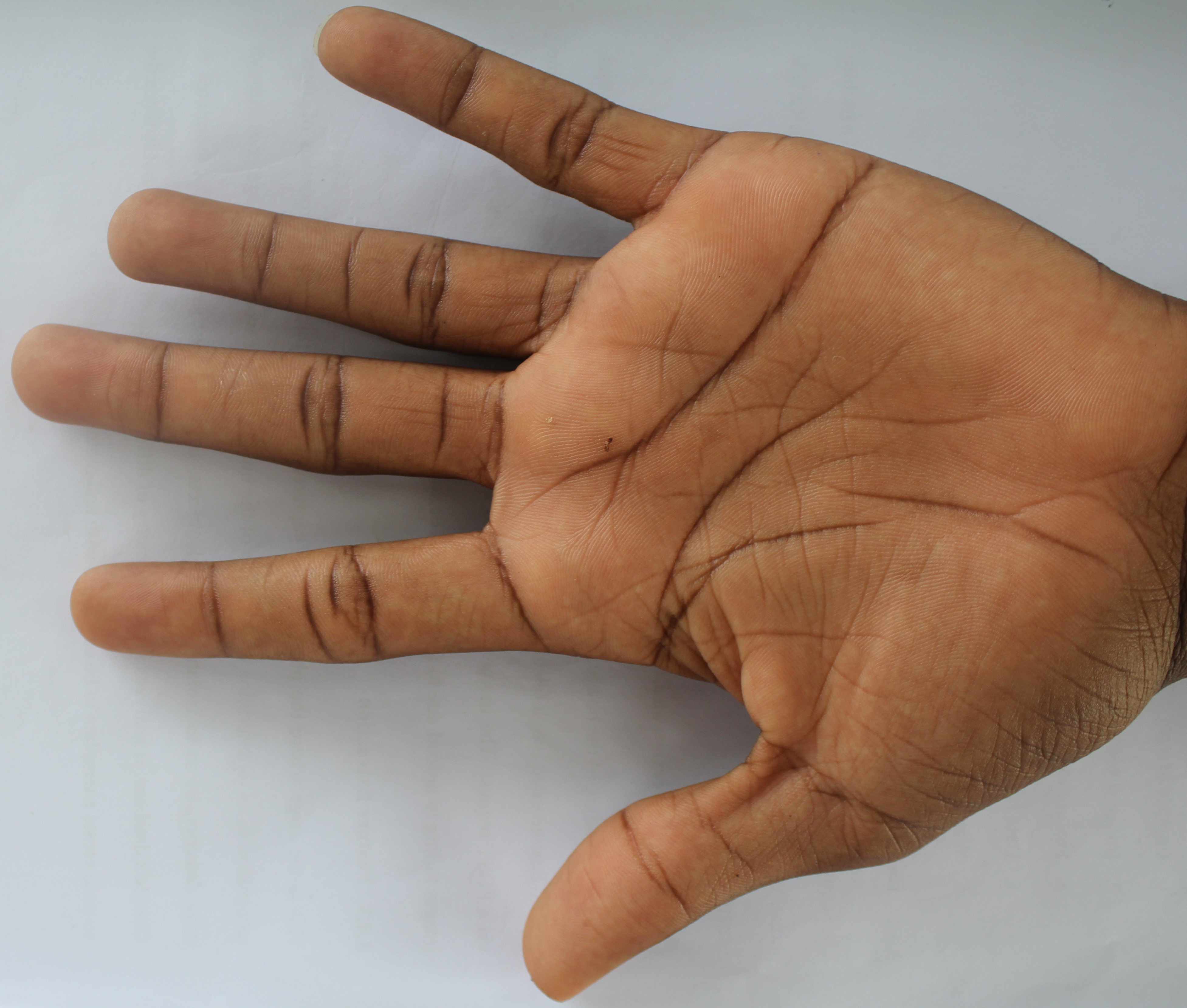 hand1 Object Detection Dataset and Pre-Trained Model by THANAWAT ...