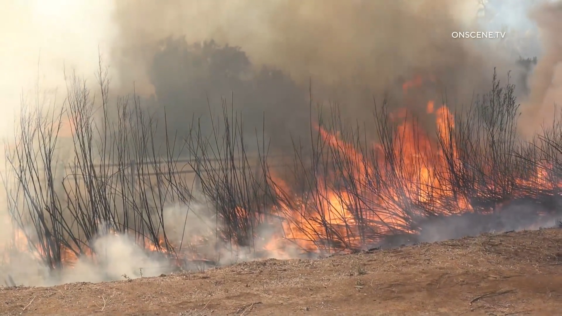 fire and smoke detection Object Detection Dataset and Pre-Trained Model by Middle East Tech ...