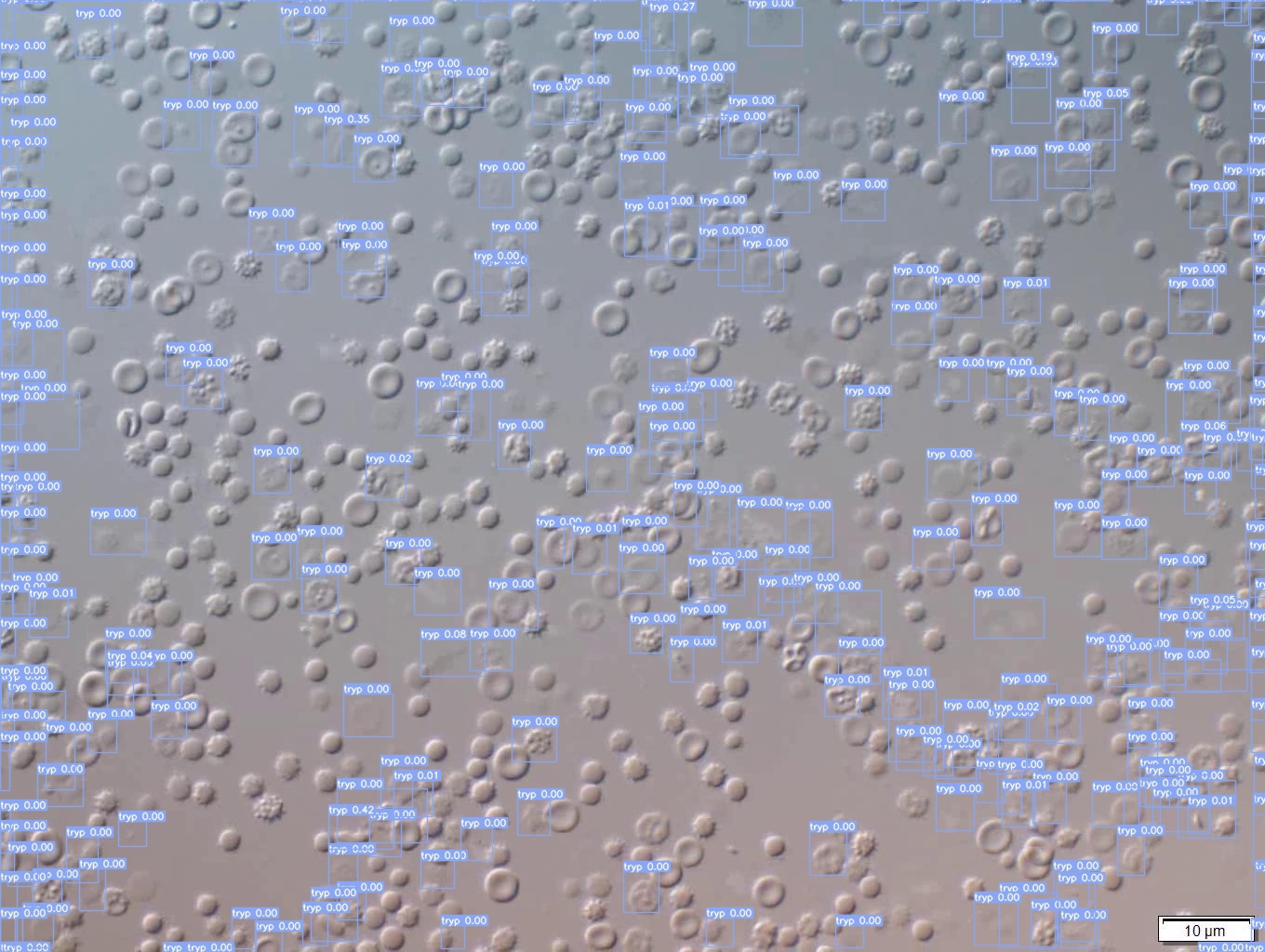 negative_dset Object Detection Dataset by ghent