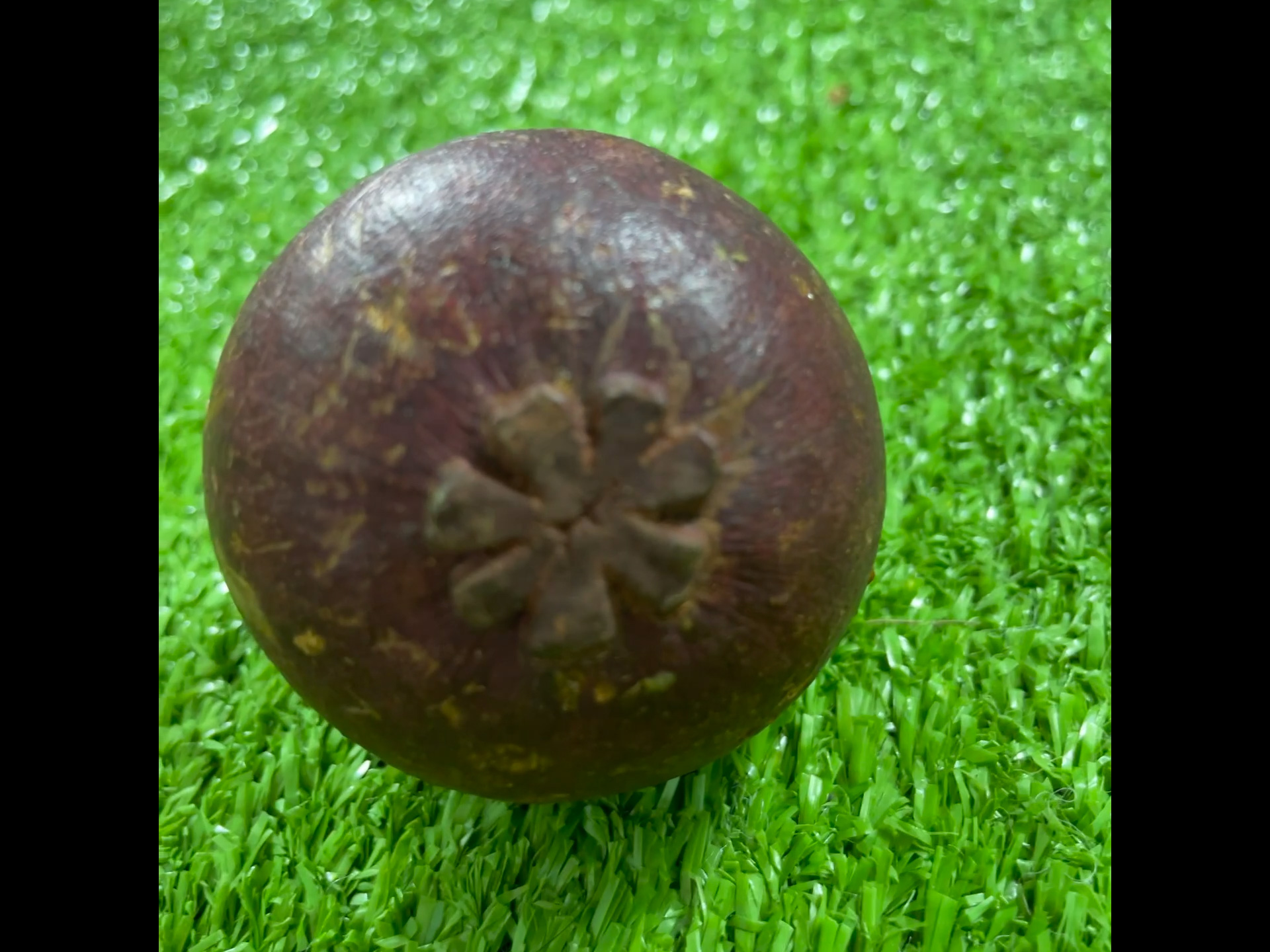 Mangosteen Object Detection Dataset and Pre-Trained Model by MangCutThinhv2