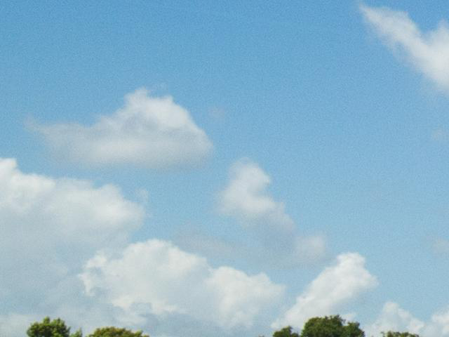 Pedro Pagán - Roboflow Universe