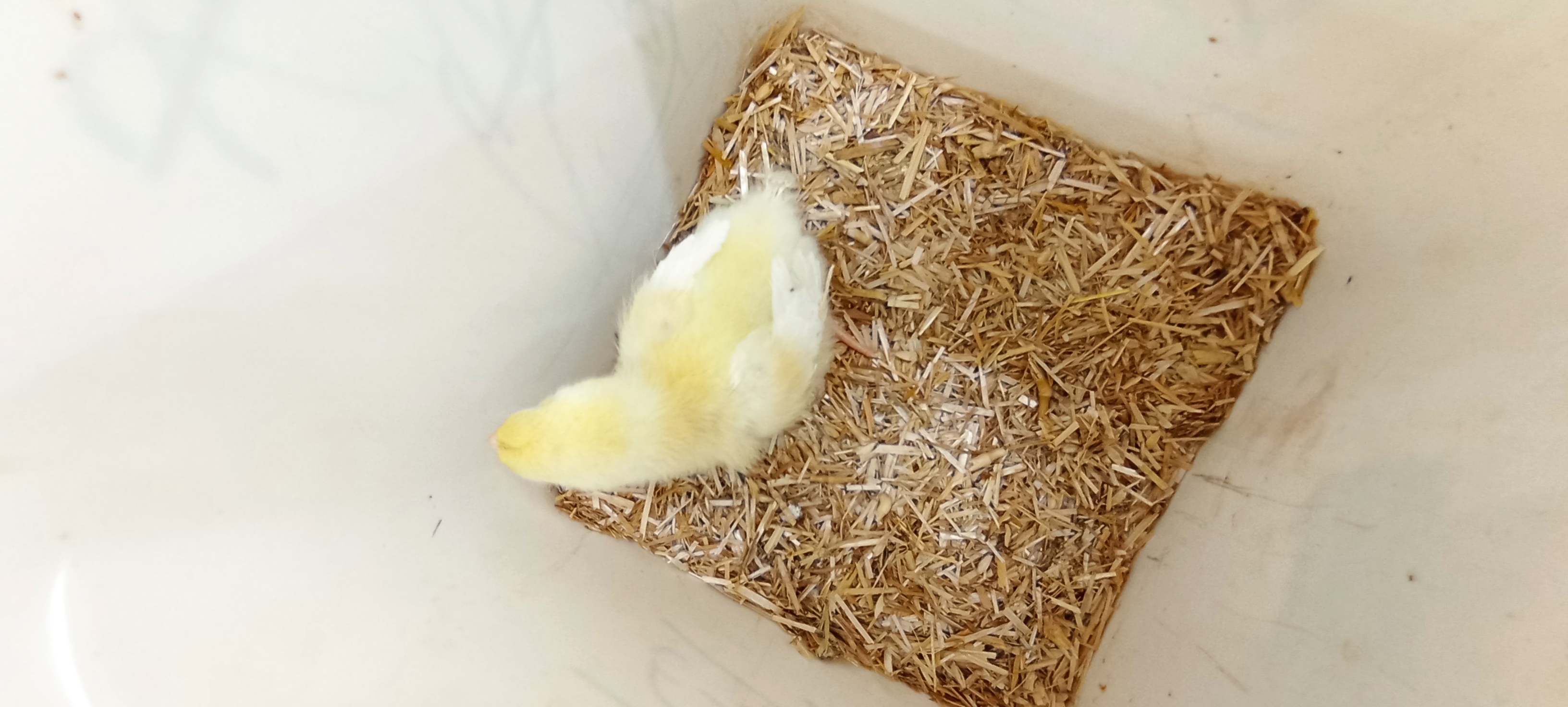 00 Object Detection Dataset By Aiot Solar