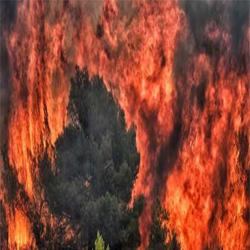 Forest fire Object Detection Dataset by HIREN