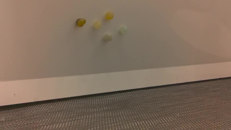 real_stone Object Detection Dataset by SooyoungGaonTeam