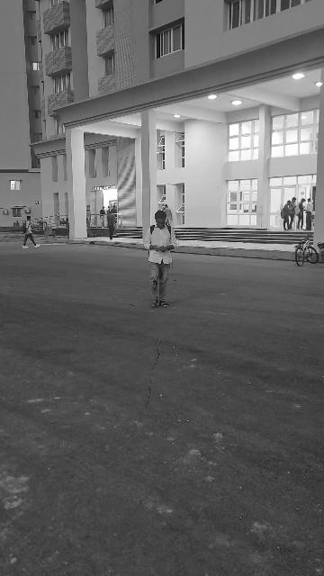 PPD2 Object Detection Dataset and Pre-Trained Model by PPD2