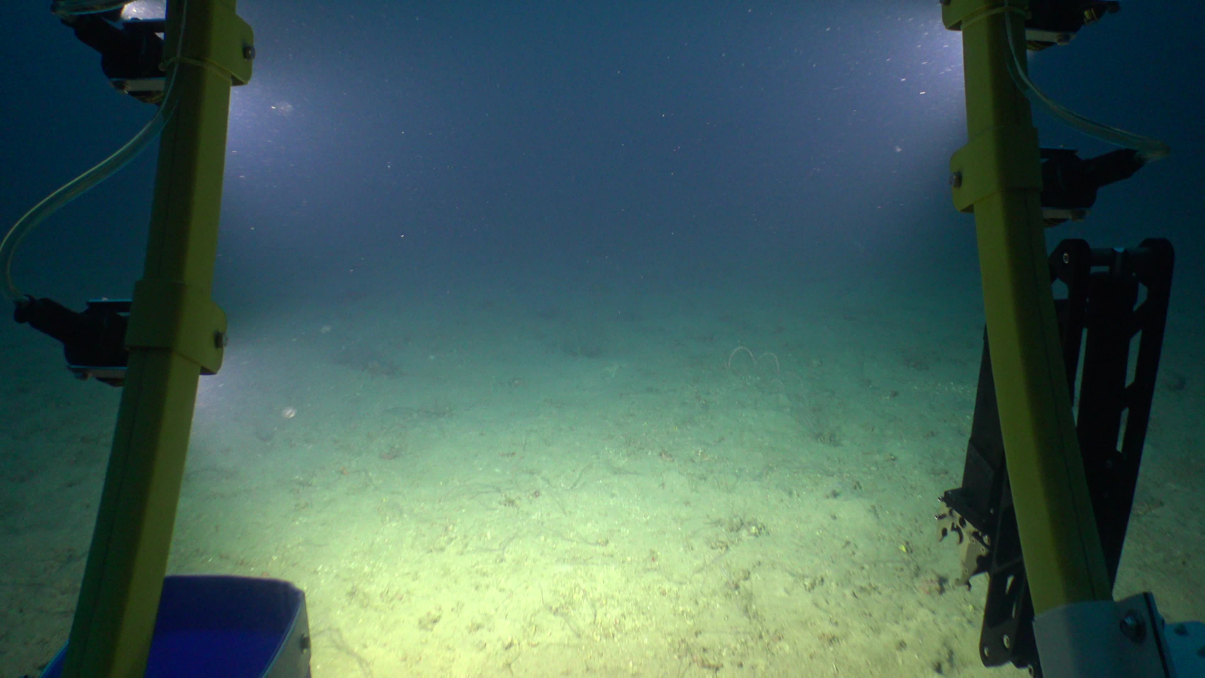 arenoso Classification Dataset by Daniel Vallejo