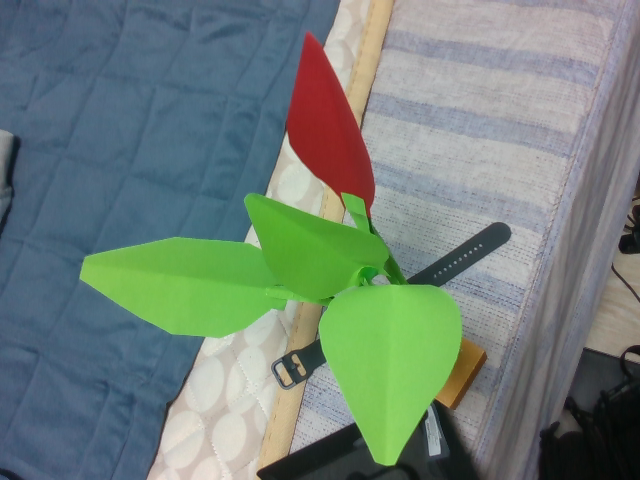 seperate abnormal Instance Segmentation Dataset by seoul national ...