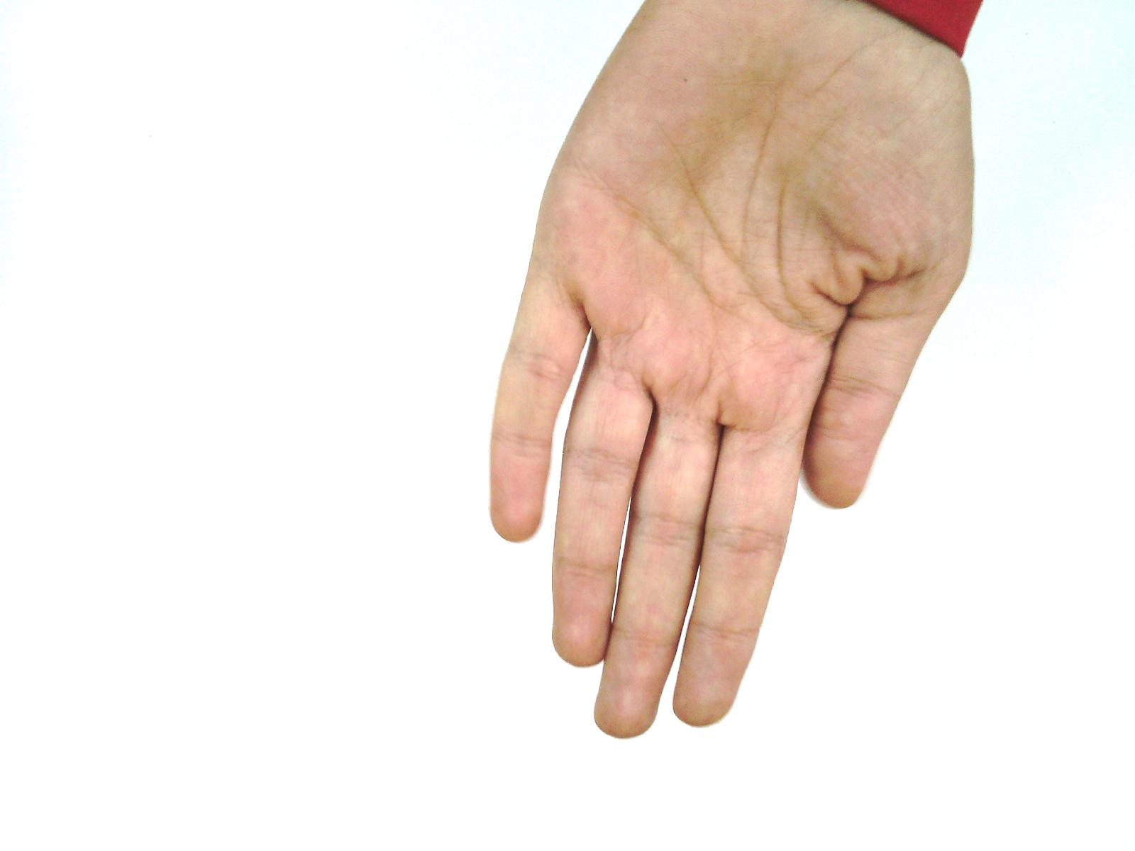 LabelUp_hands Instance Segmentation Dataset and Pre-Trained Model by ...