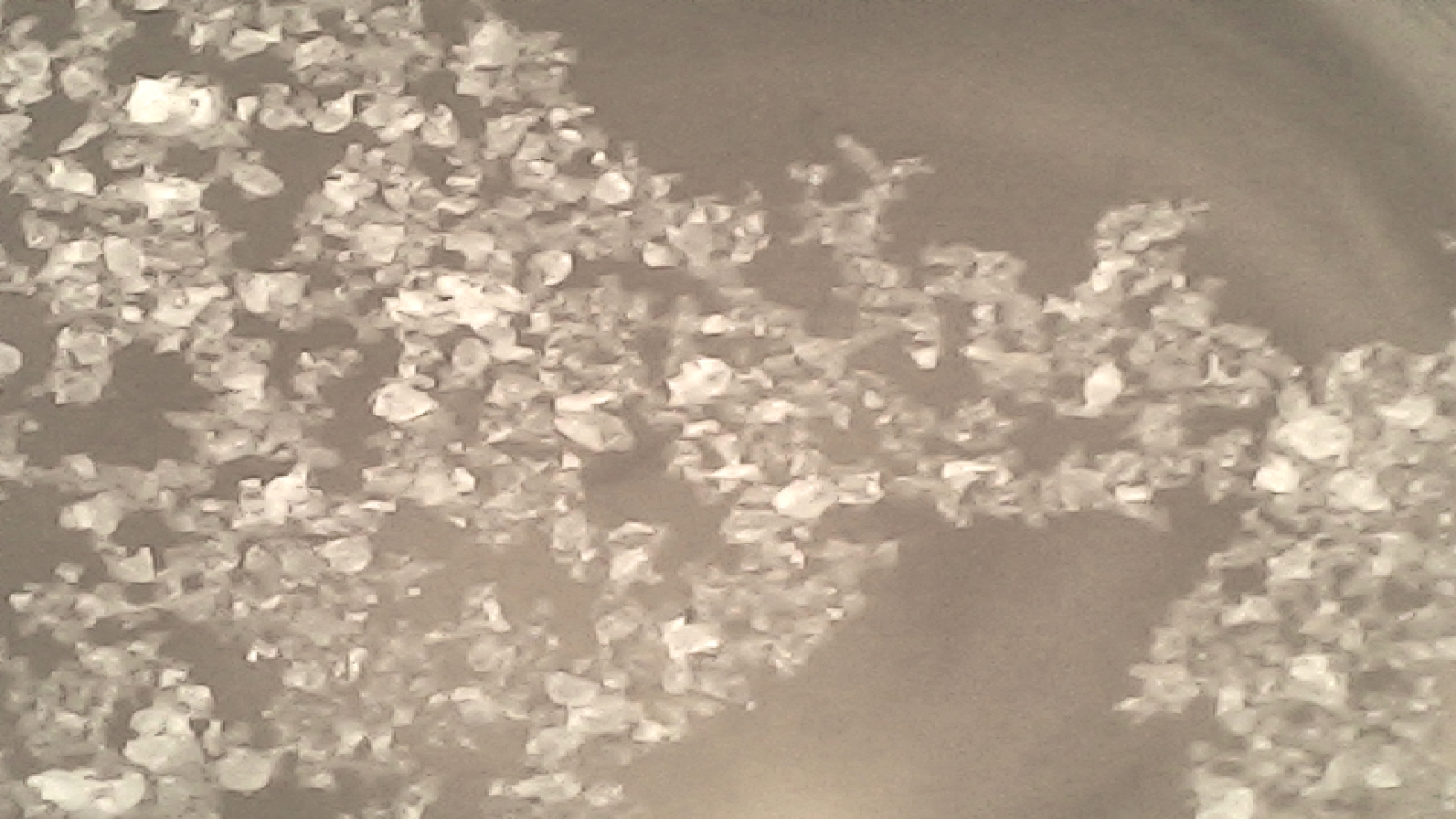Microplastics Detection7 Object Detection Dataset V1 2023 06 03 10