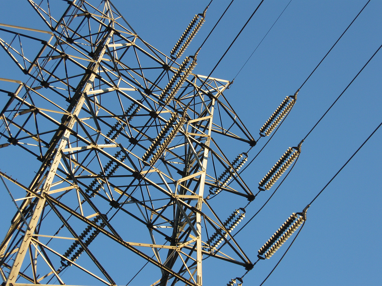 aa Object Detection Dataset and Pre-Trained Model by Tese 1