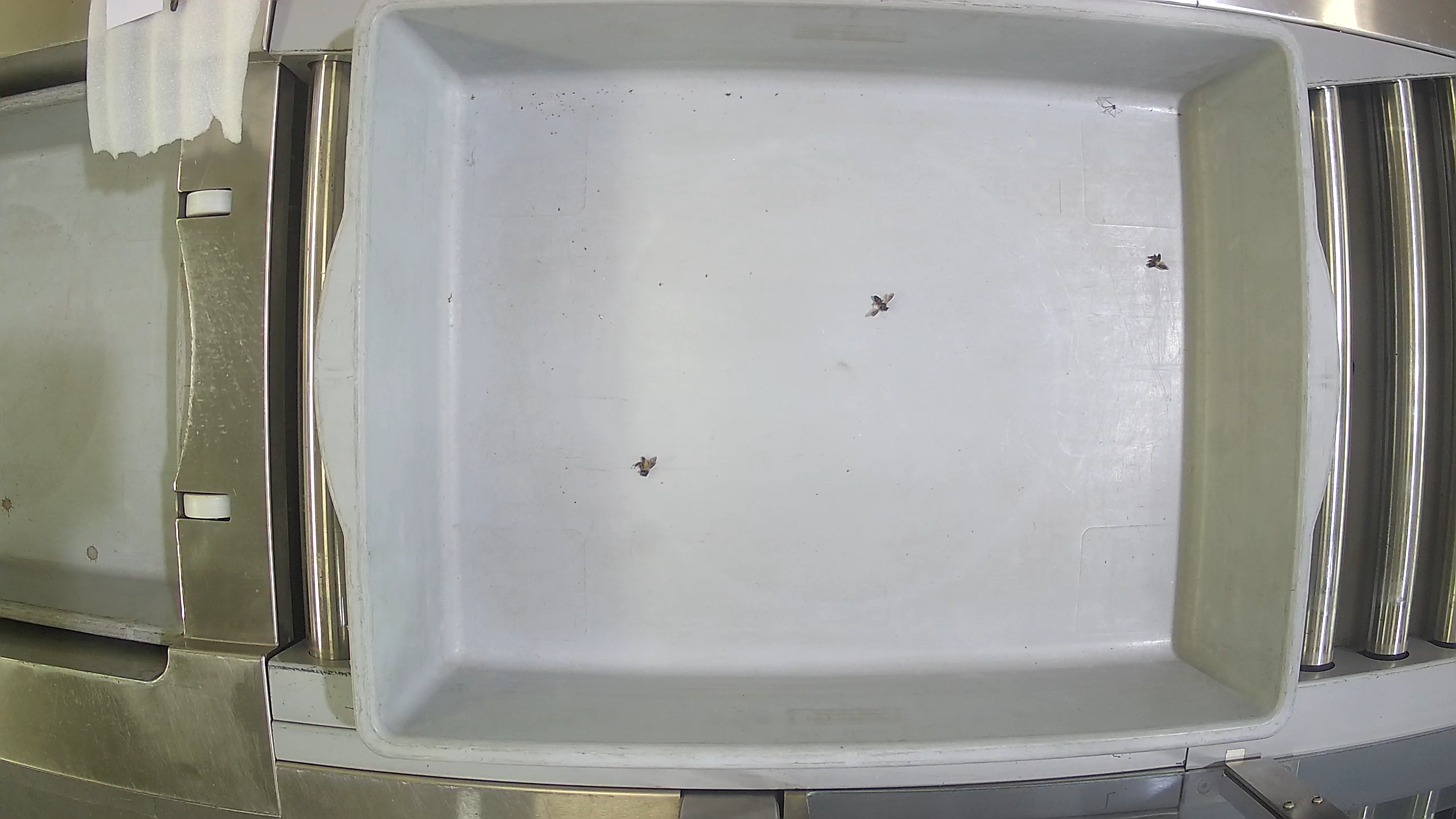 tray detection Object Detection Dataset by panjanathan