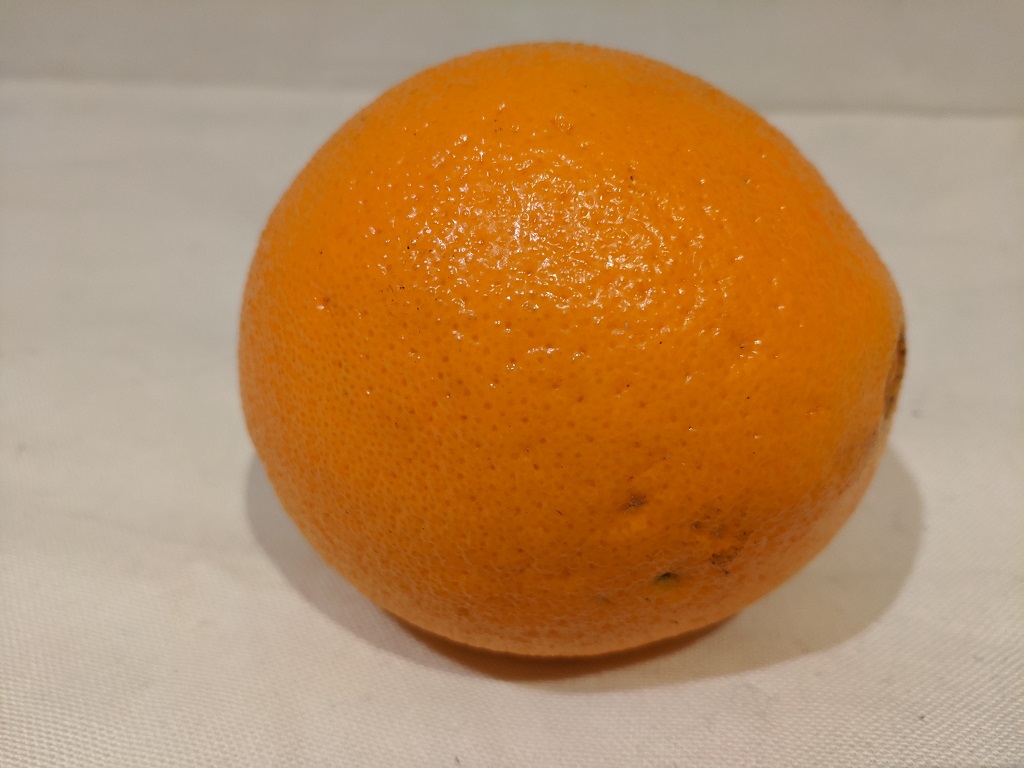 fruits Instance Segmentation Dataset by INT491