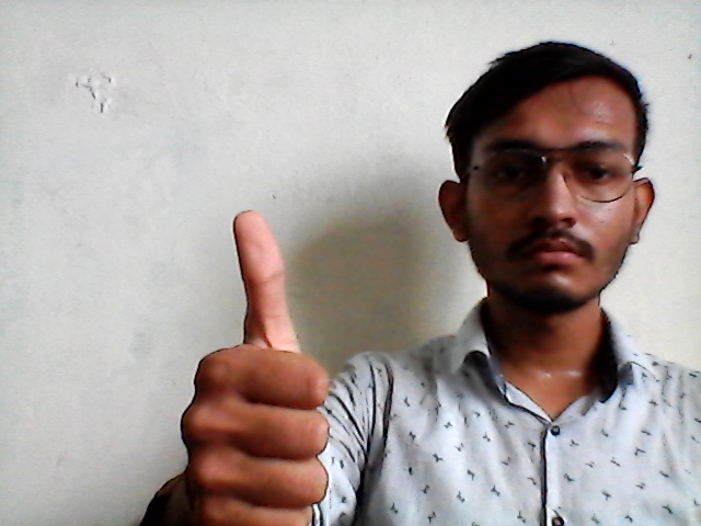 How to Use the Sign language Object Detection API