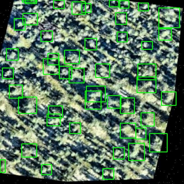 Trees Counting Object Detection Dataset and Pre-Trained Model by CSI
