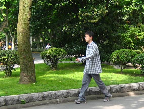 P2 Object Detection Dataset By Pedestrian