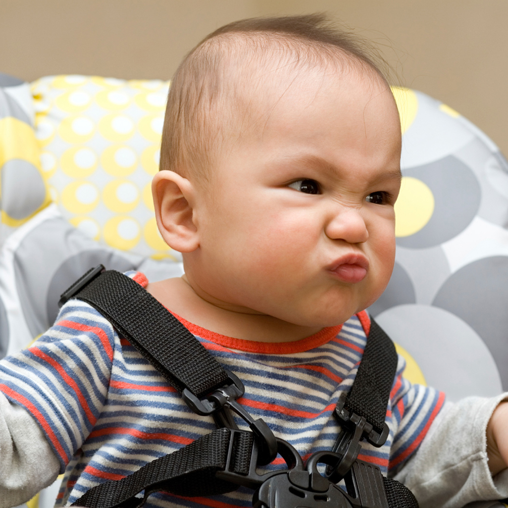 Baby log 1 Object Detection Dataset And Pre Trained Model By JK