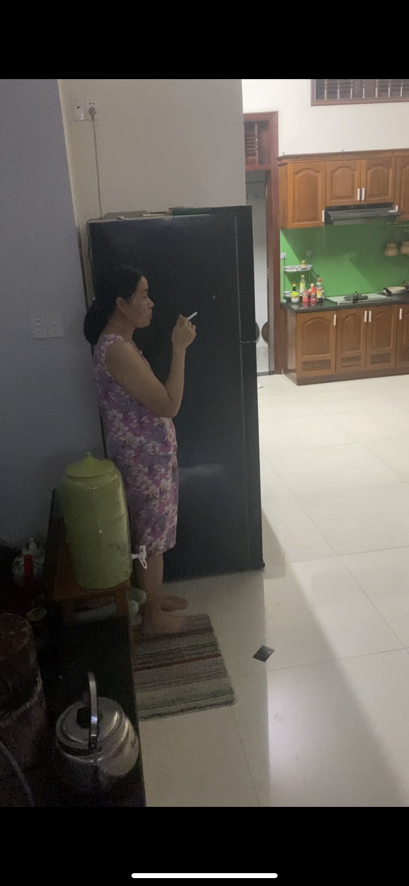 Smoking Person Detection Object Detection Dataset By Spd